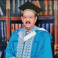 Nasreldin Hussien - Independent Researcher