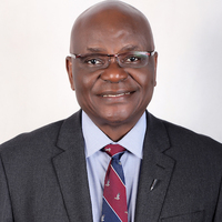 Professor Joseph A Otubu - Independent Researcher