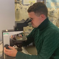 Michael P . Lewis - Universidade de Coimbra