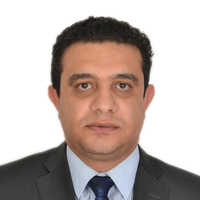 Ahmed Fouad - Independent Researcher