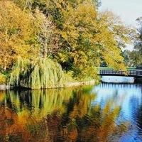 Apurv Chauhan - University of Cambridge