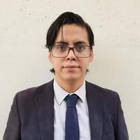 Guillermo S Tovar-Sánchez - Flacso México