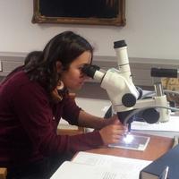 Roberta Berardi - University of Oxford