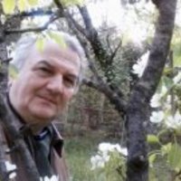 Andrej Tisma - Independent Researcher