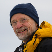 Karen Holmberg - New York University