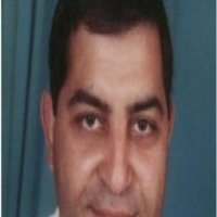 Abdelaal Attia - Independent Researcher