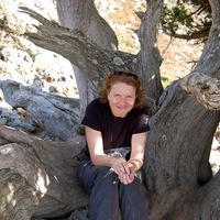 Anja Herold - University of Hamburg