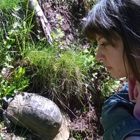 Giouli Korobili - University of Ioannina/Greece