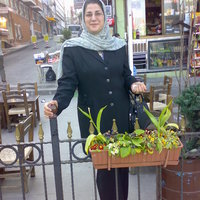 bushra mohammed | University of Duhok - Academia.edu