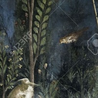 PATSY CIARDULLO - American University Washington College of Law