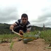 luis fernando serna agudelo - Independent Researcher
