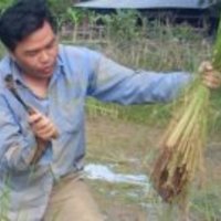 Narith POR - Build Bright University