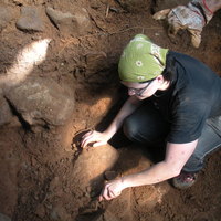 Maureece Levin - University of Arkansas at Little Rock