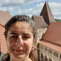 Angela O . Dragan - The Bucharest Academy of Economic Studies