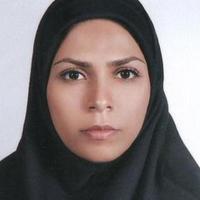 Sara Bagheri - Independent Researcher