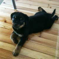 Iraklis Stamos - Centre for Research and Technology Hellas - Hellenic ...