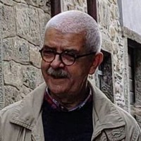 Fabrizio Torricelli - Independent Researcher