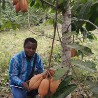 Daniel Ofori - Independent Researcher