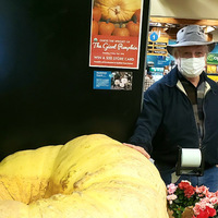 David Roubik - Smithsonian Tropical Research Institute