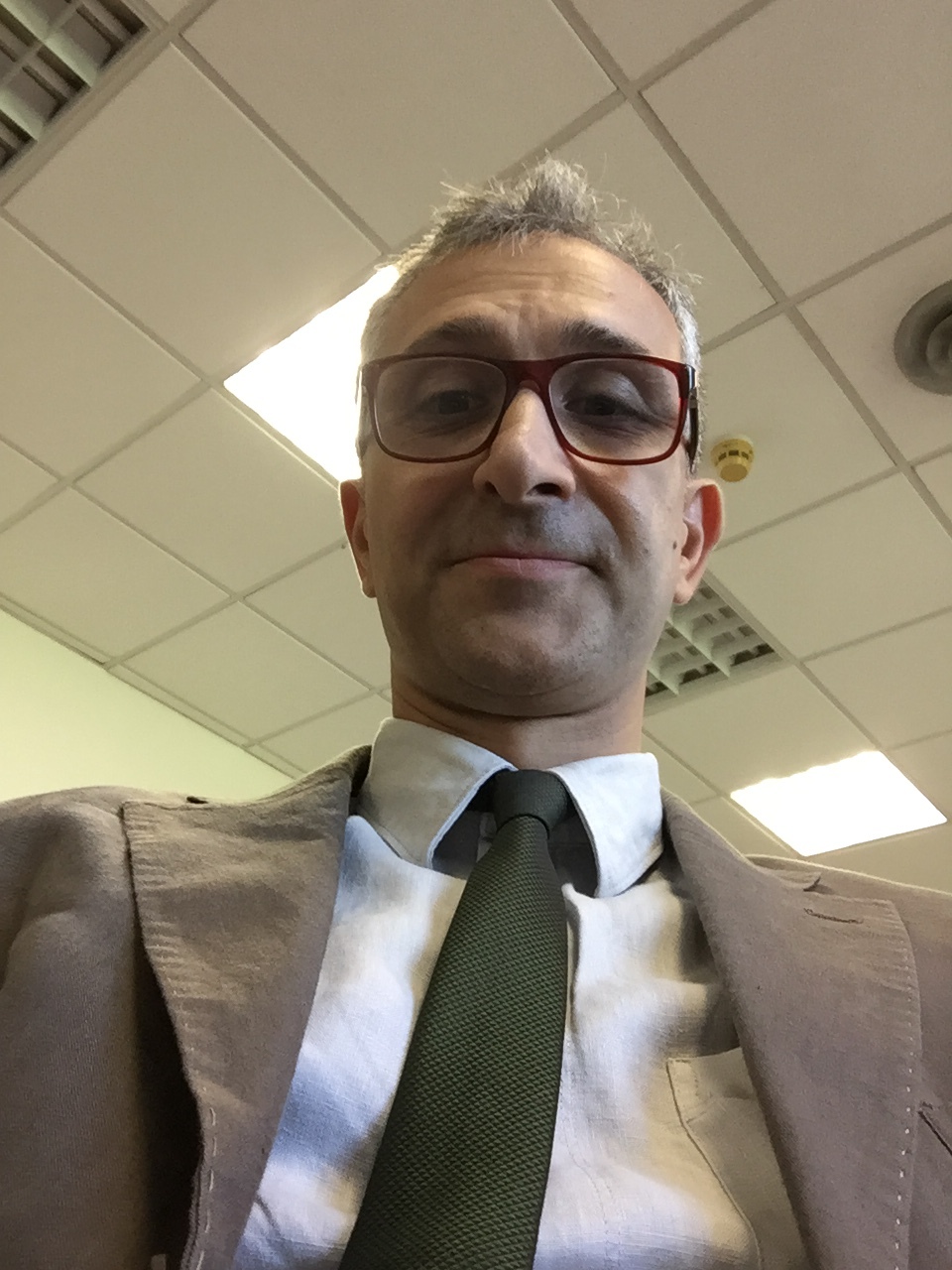 (PDF) A Tale of Violence: Animal Farm as an Allegory of Social Order ...