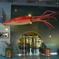 Timothy Barrett - University of Toronto