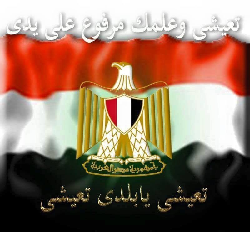 (PDF) Hydrogel: Preparation, characterization, and applications | Enas ...