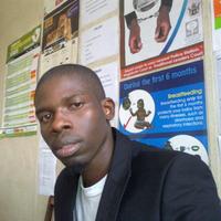 tapiwa gudza - Independent Researcher