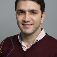 Hamid Karimi-Rouzbahani - University of Cambridge