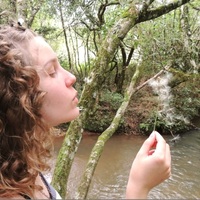 Amanda Perin's Instagram, Twitter & Facebook on IDCrawl
