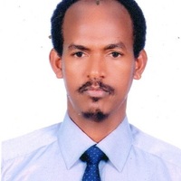 Dr. Weldemariam S . Gessesew - Independent Researcher
