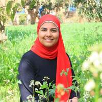 Ghada Alakhdar - Modern Science and Arts (MSA) university