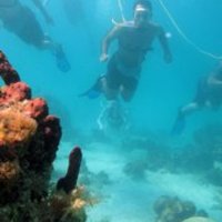 Anthony Porto - Yale University