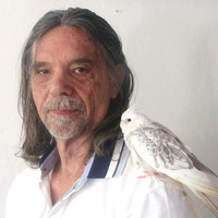 William Flannery - Independent Researcher