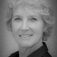 Janice Schopfer - Los Angeles County Museum of Art