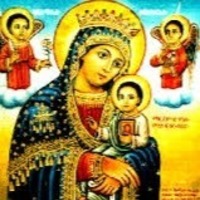 demeke kibru - Addis Ababa University