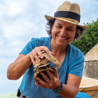 Maria João Valente - Universidade do Algarve