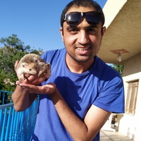 Mohammad Hassan Torabi - Independent Researcher