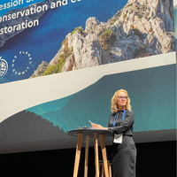 Ornela Çuçi - Independent Researcher