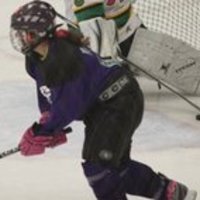 Natalie Villani - University of Missouri-Columbia