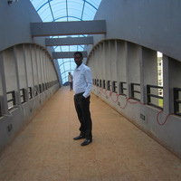 Tolossa Negassa - METU