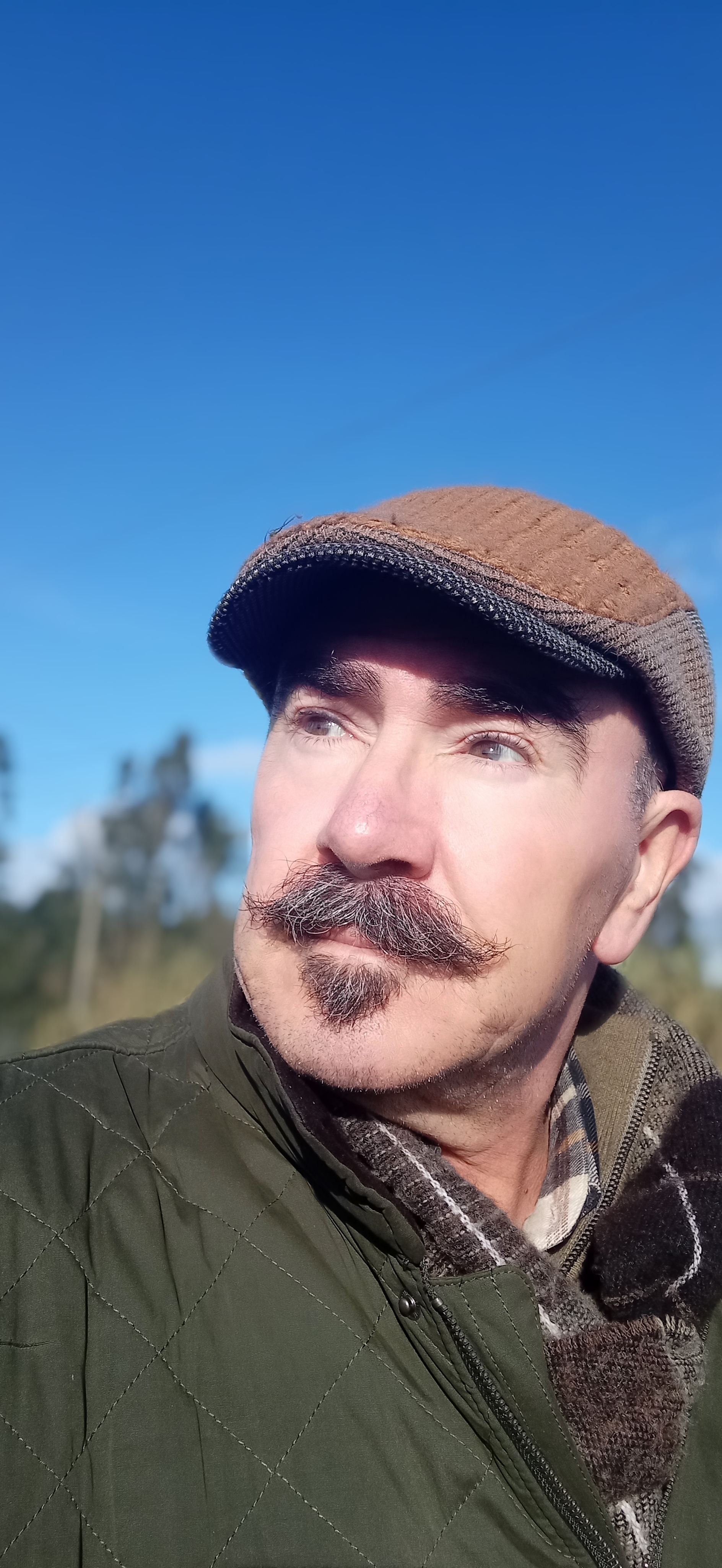 (PDF) Biogeographic analysis of Serrano-Monchiquense District and ...