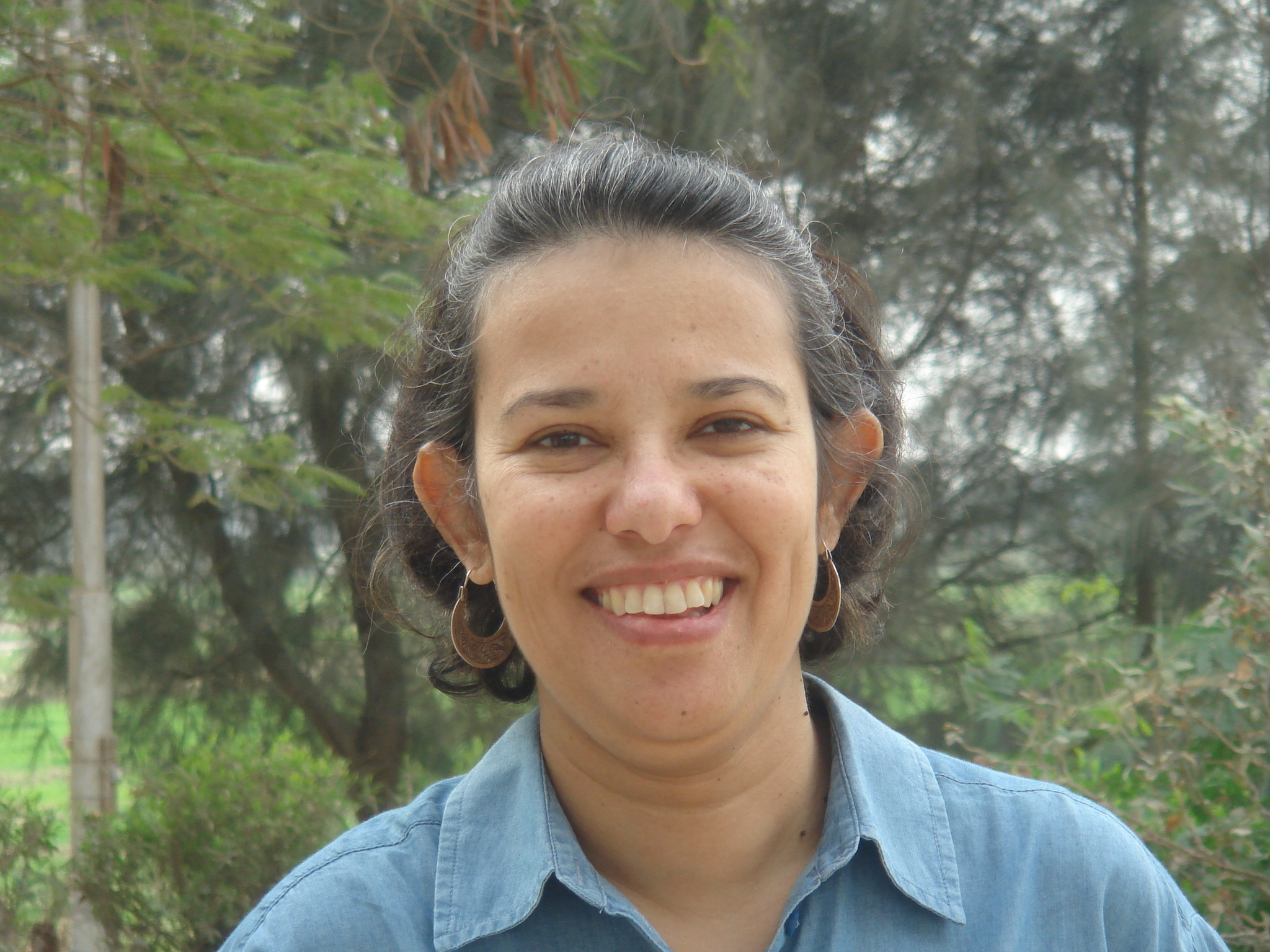 (PDF) The LEIDEN PAPYRUS I 353 | Laila Azzam - Academia.edu