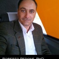 Roberto Pedone - Università della Campania Luigi Vanvitelli