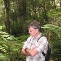 hawaiiangardensphase6.com,HawaiianGardensPhases6, hawaiian - Anciens Et ...