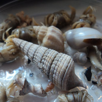 Cyrus Rumisha - Sokoine University of Agriculture