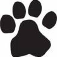 Sri Harsha - IIT BHU