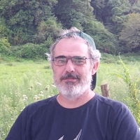 cesar gomez paez - Independent Researcher