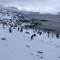 Bryan Higgins - SUNY Plattsburgh