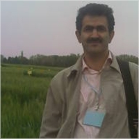 Davood Habibi - Karaj Azad University