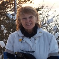 Maria Hielte - Independent Researcher